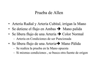 Via arterial clases | PPT
