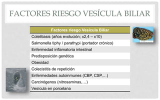 Tumores de la vía biliar. El papel del Oncólogo Médico. | PPTX
