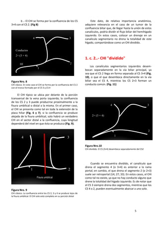Anatomia Quirurgica de Vias biliar | PDF