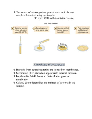 Viable bacterial count and its techniques. | DOCX