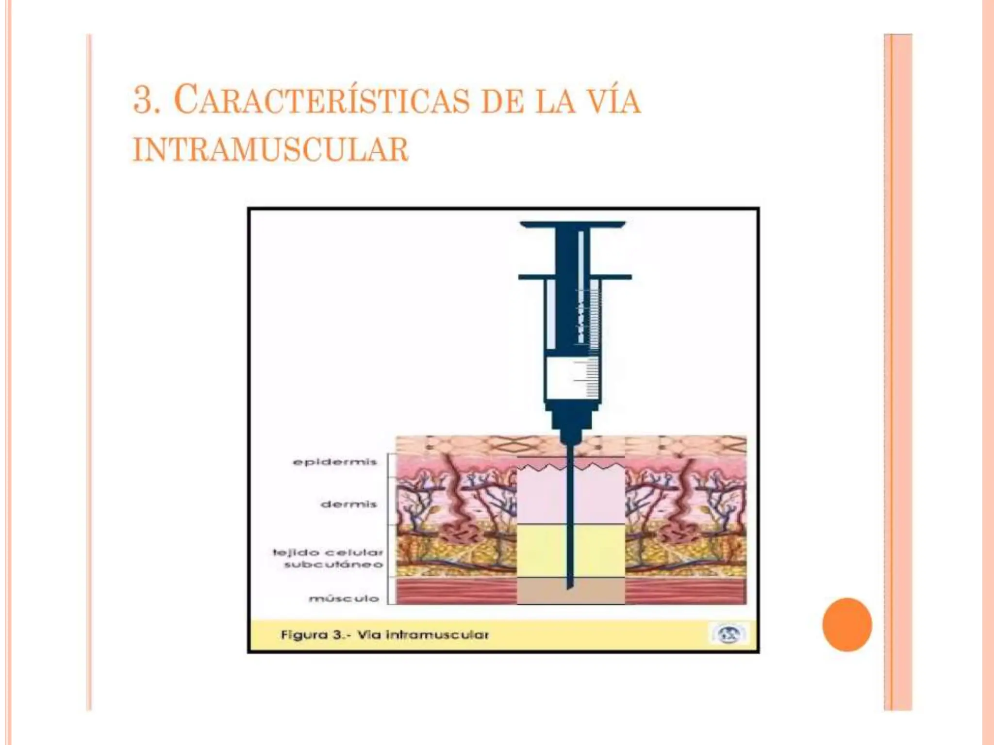VIA DE ADMINISTRACION INTRAMUSCULAR final.pptx | Pharmaceutical Drugs ...