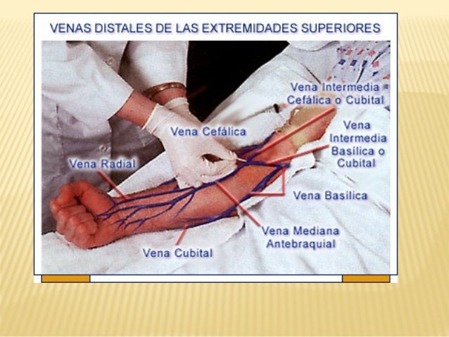 Vía Endovenosa