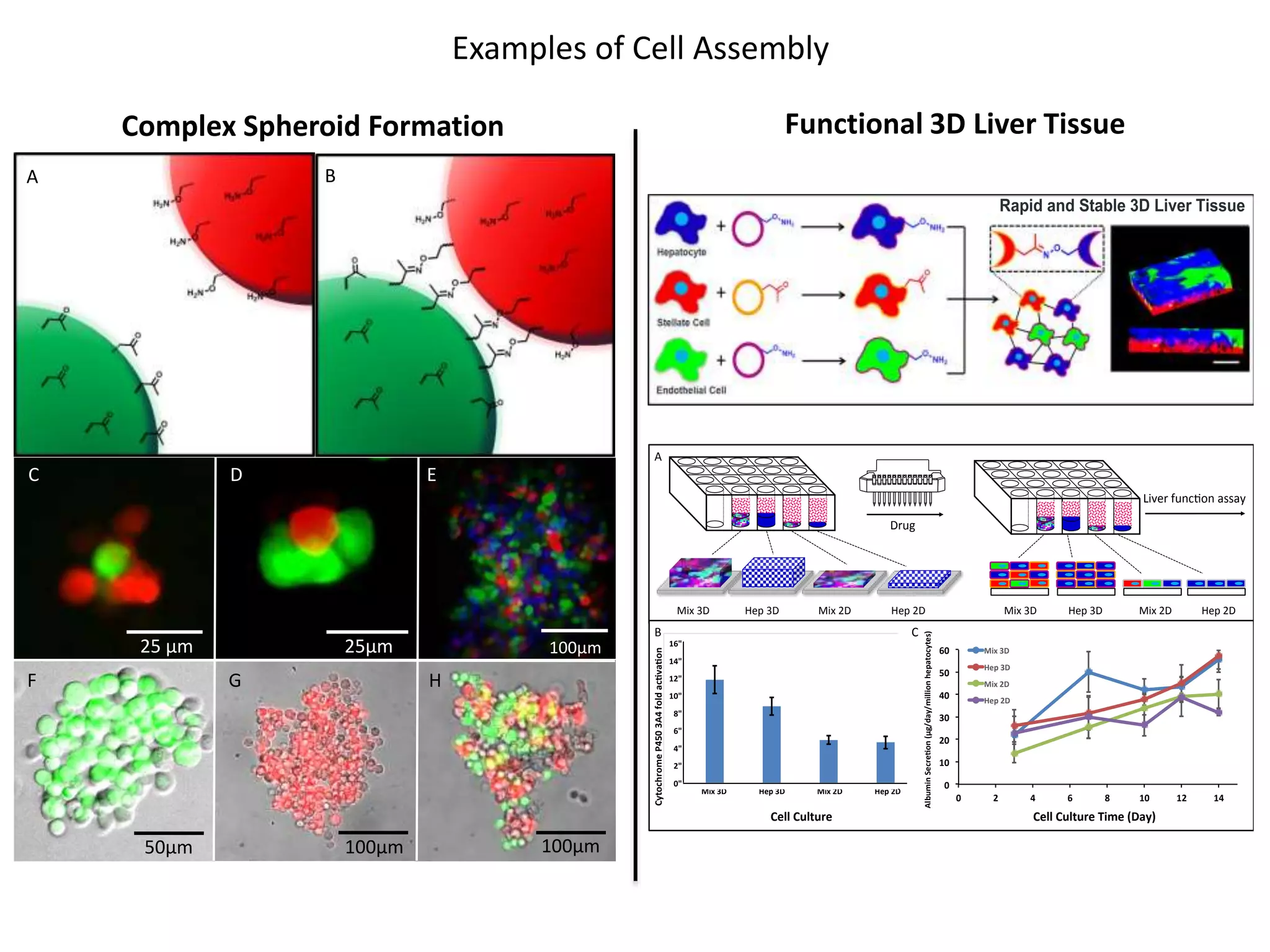 ViaGlue Example Applications | PPTX | Chemistry | Science