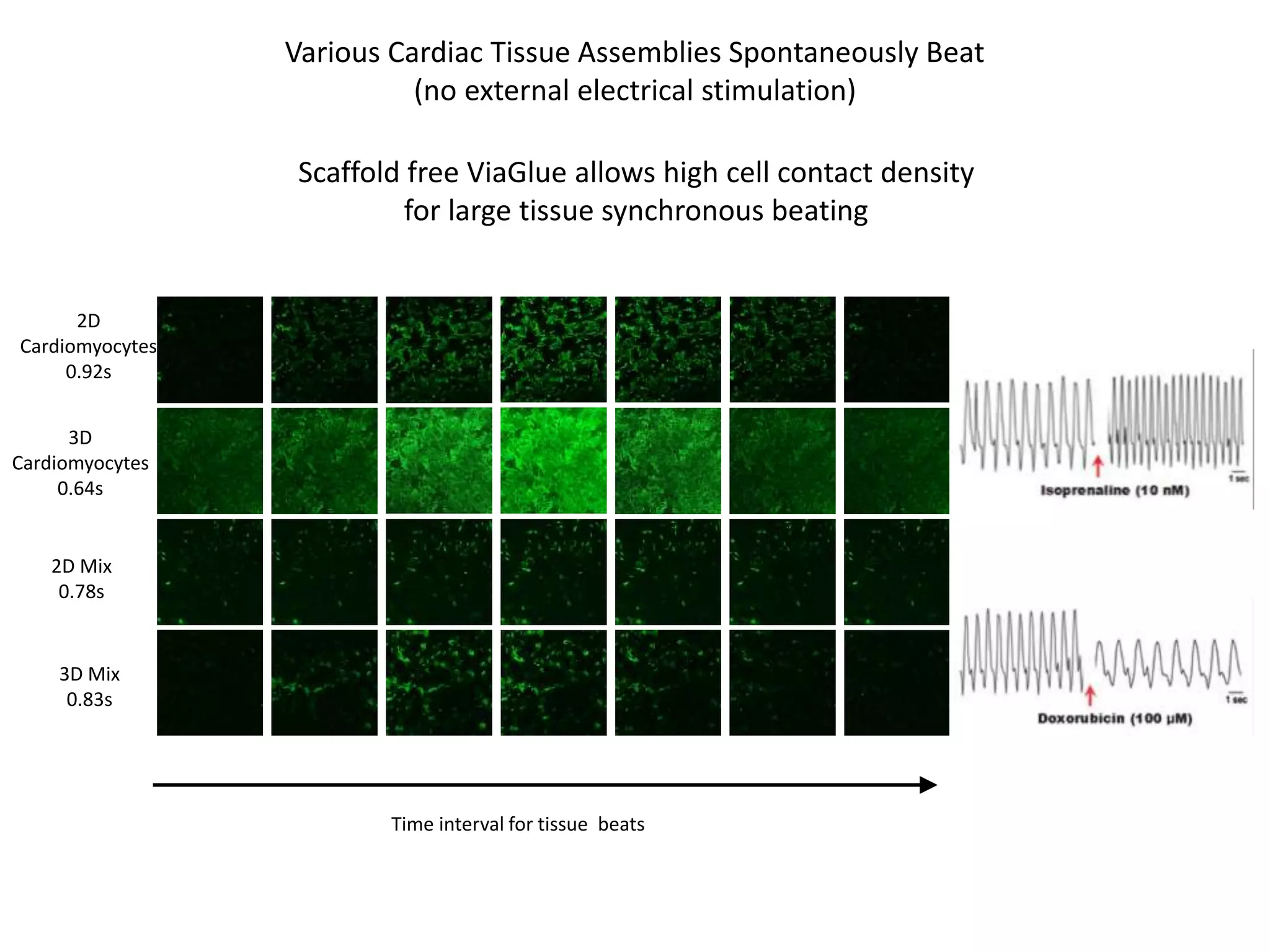 ViaGlue Example Applications | PPTX | Chemistry | Science