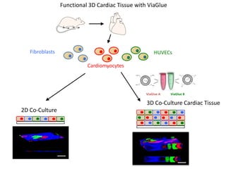 ViaGlue Example Applications | PPTX | Chemistry | Science