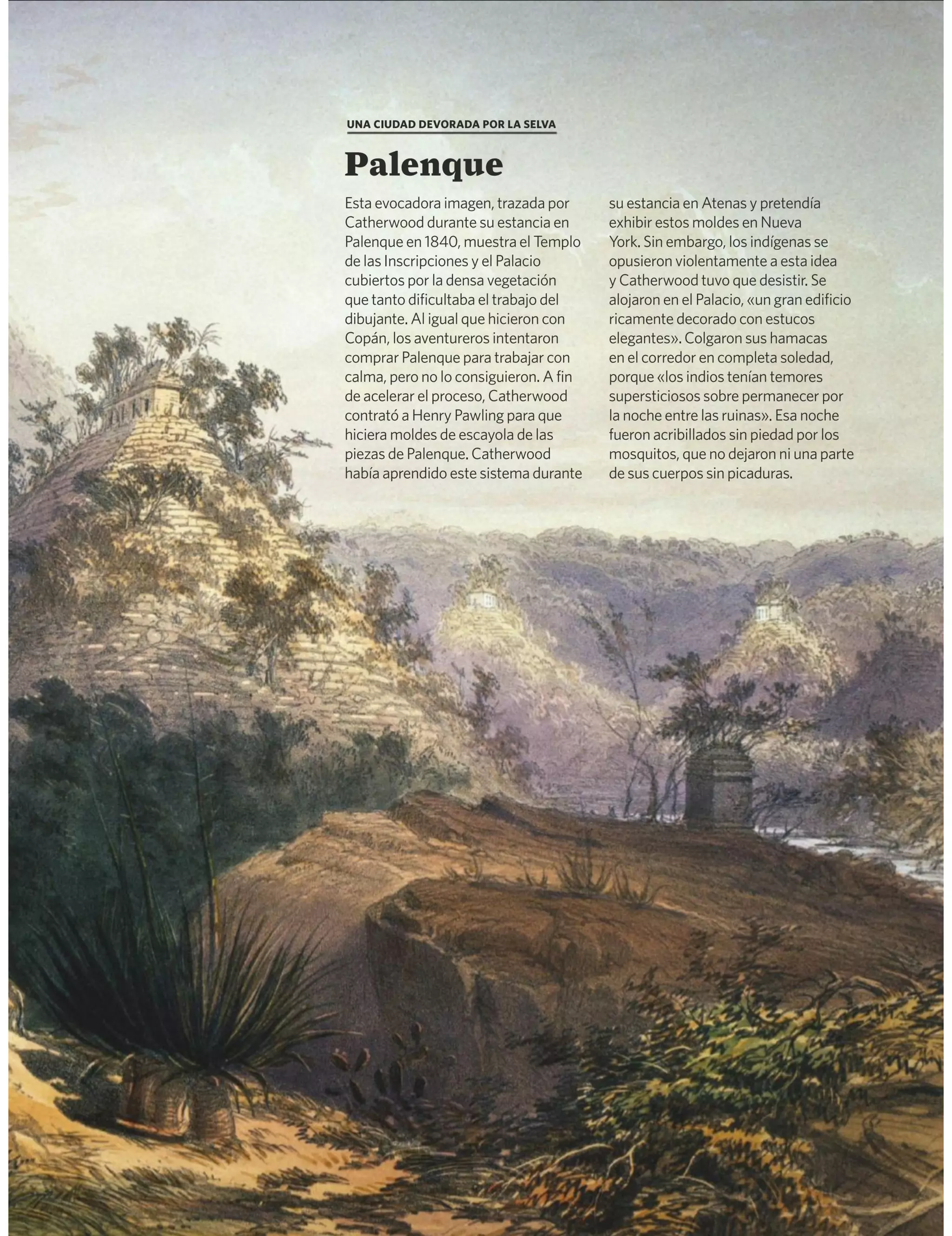 VIAJE A LAS CIUDADES MAYAS (UNA CIVILIZACION DESVELADA) | PDF