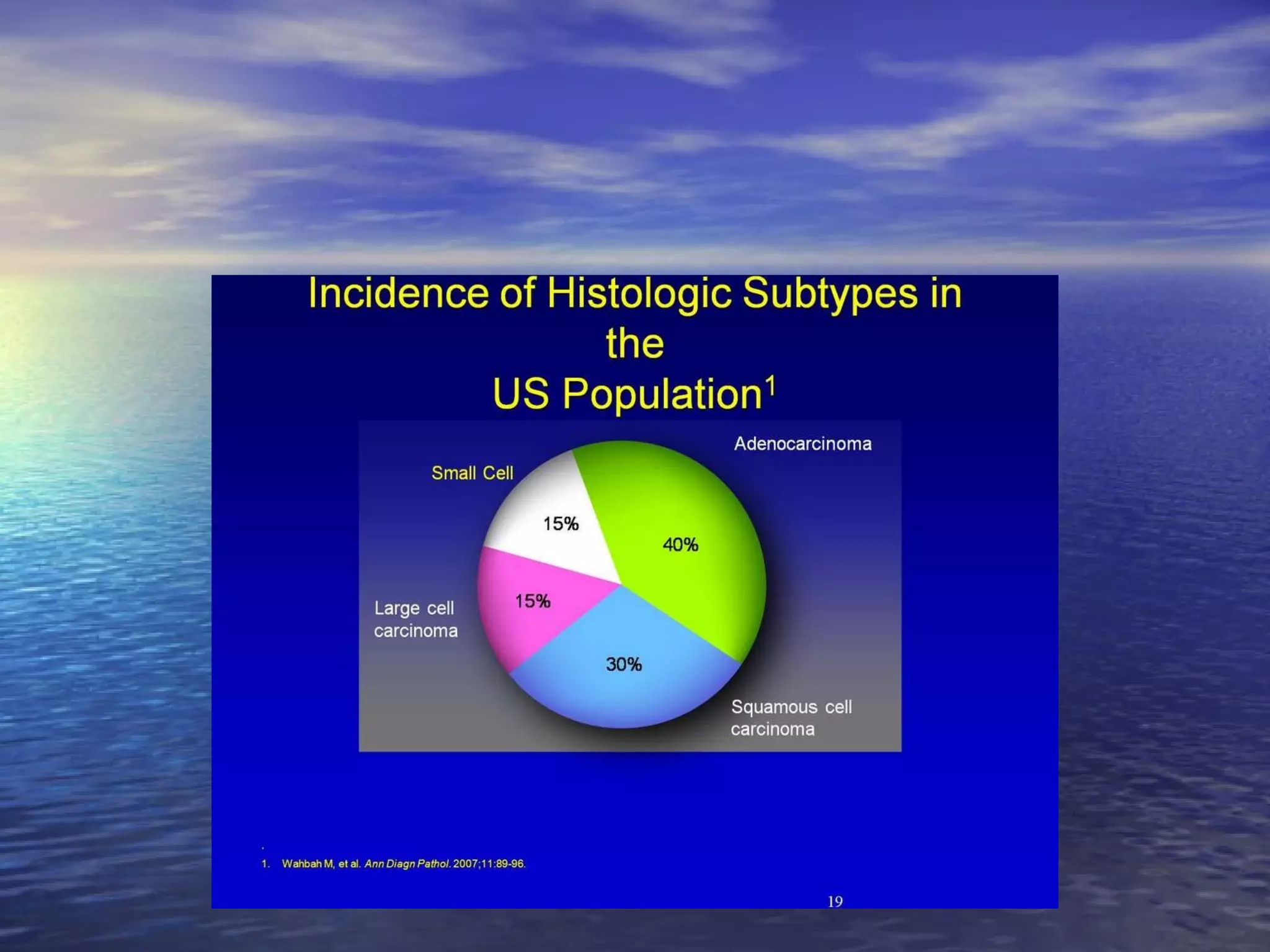 Lung Cancer: An Overview & Discussion of Minimally Invasive Surgical ...
