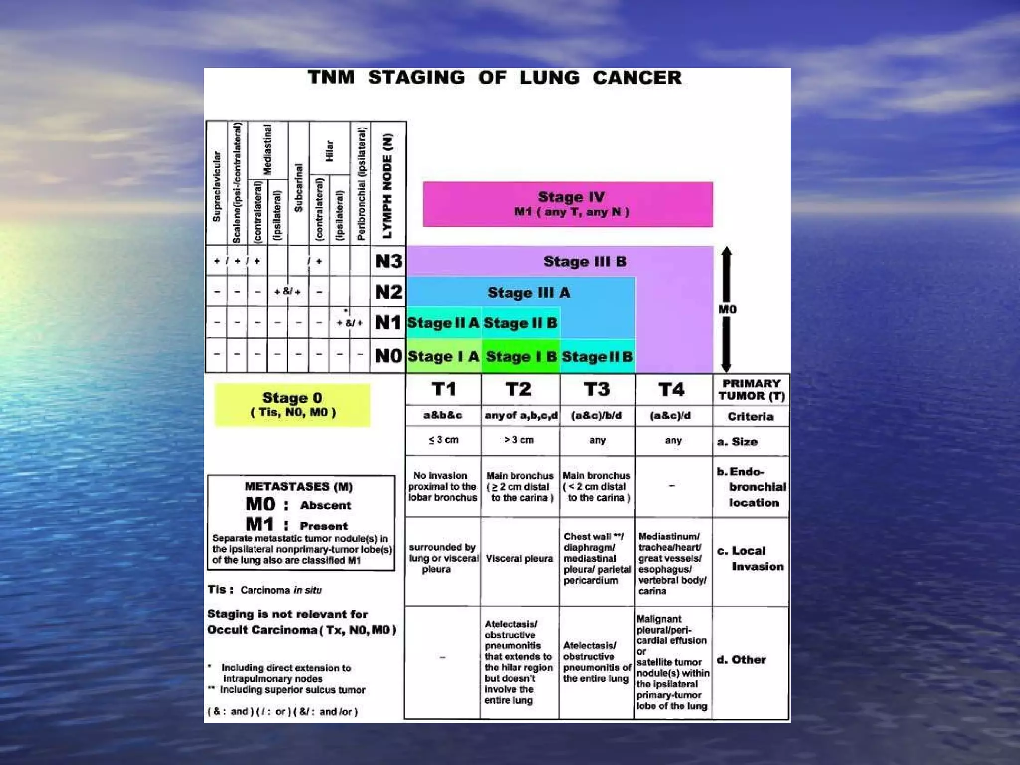 Lung Cancer: An Overview & Discussion of Minimally Invasive Surgical ...