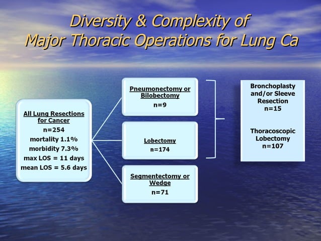 Lung Cancer: An Overview & Discussion of Minimally Invasive Surgical ...