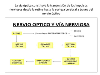 Via optica | PPTX