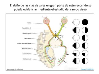Via optica | PPTX