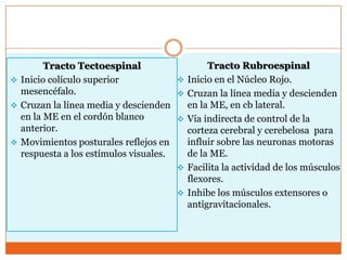 Via piramidal y extrapiramidal | PPTX