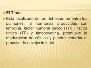 Sistema Endocrino | PPTX