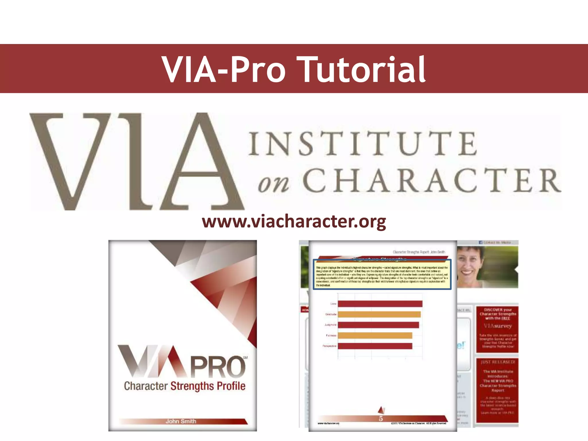 Character Strengths: VIA Pro Report Tutorial | PPTX