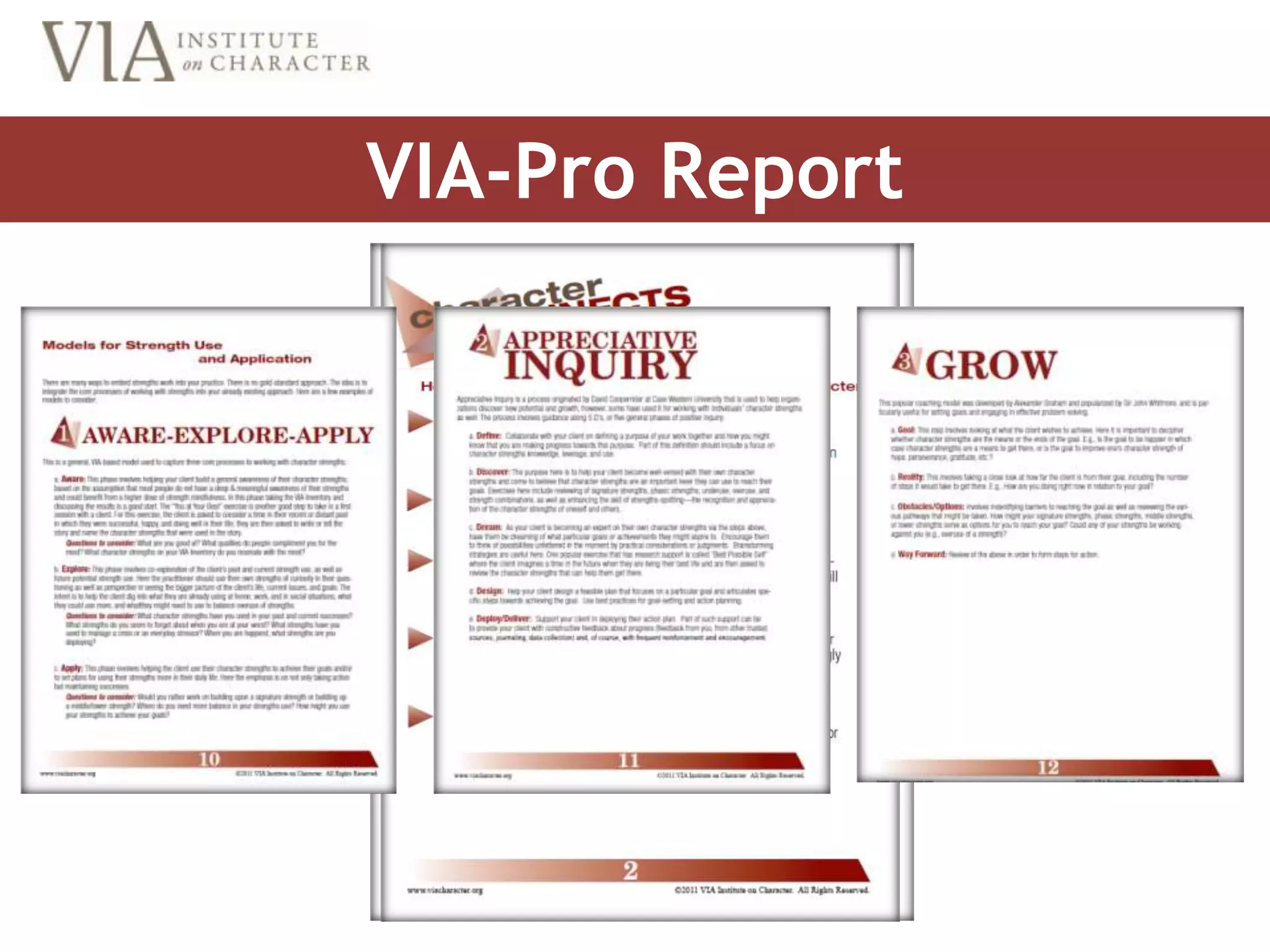 Character Strengths: VIA Pro Report Tutorial | PPTX