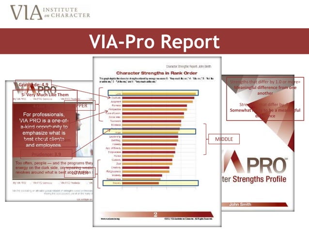 Character Strengths: VIA Pro Report Tutorial | PPTX