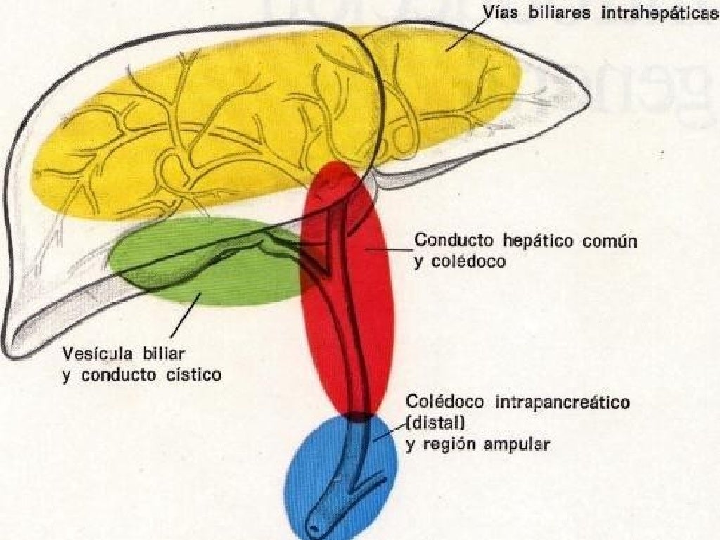 Vias Biliares Emergencias Parte I