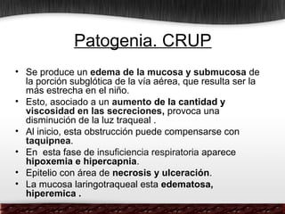 Vias aereas superiores | PPT