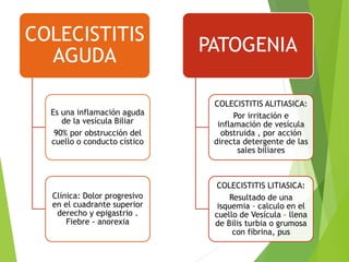 Vías biliares. Patología de Robbins | PPTX