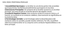 vias biliares irrigacion e inervacion ademas de drenja venoso | PPTX