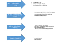 vias biliares irrigacion e inervacion ademas de drenja venoso | PPTX
