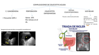 vias biliares irrigacion e inervacion ademas de drenja venoso | PPTX