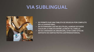 VIAS DE ADMINISTRACION.pptx