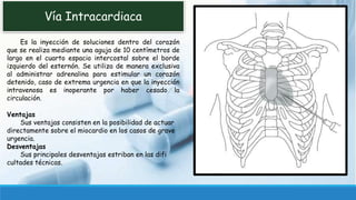 Vias de Administracon Farmacologica | PPTX
