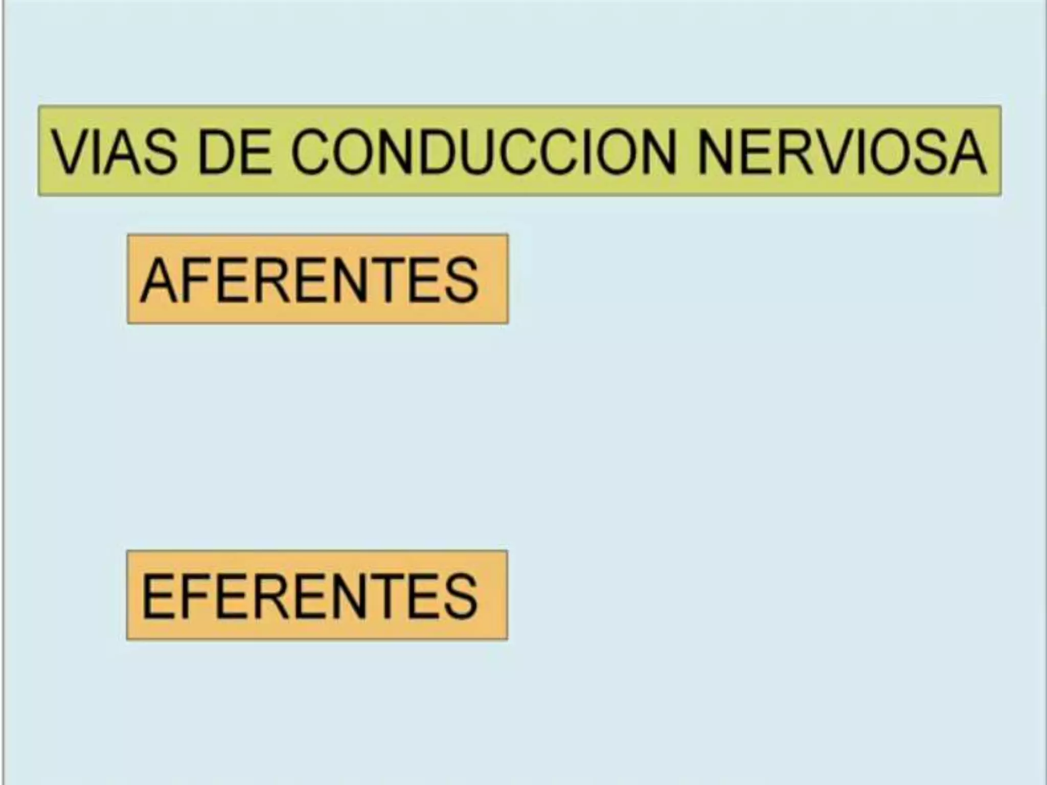 Vias de conduccion nerviosa | PPTX