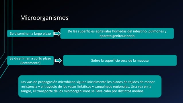 Vias De Diseminacion De Agentes Infecciosos Ppt