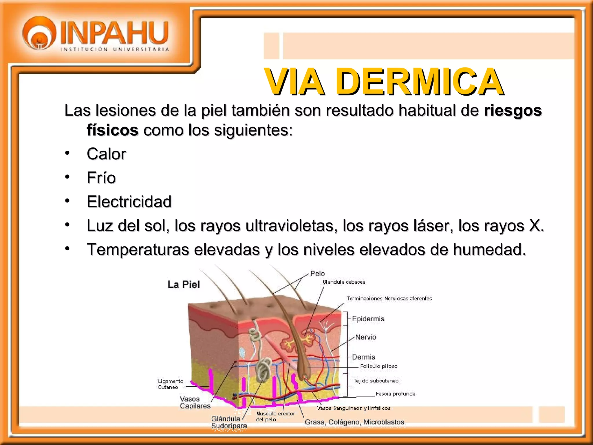 Vias de entrada y absorción de los agentes | PPT