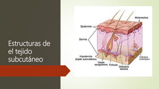 Administracion de medicamento Via subcutanea | PPTX