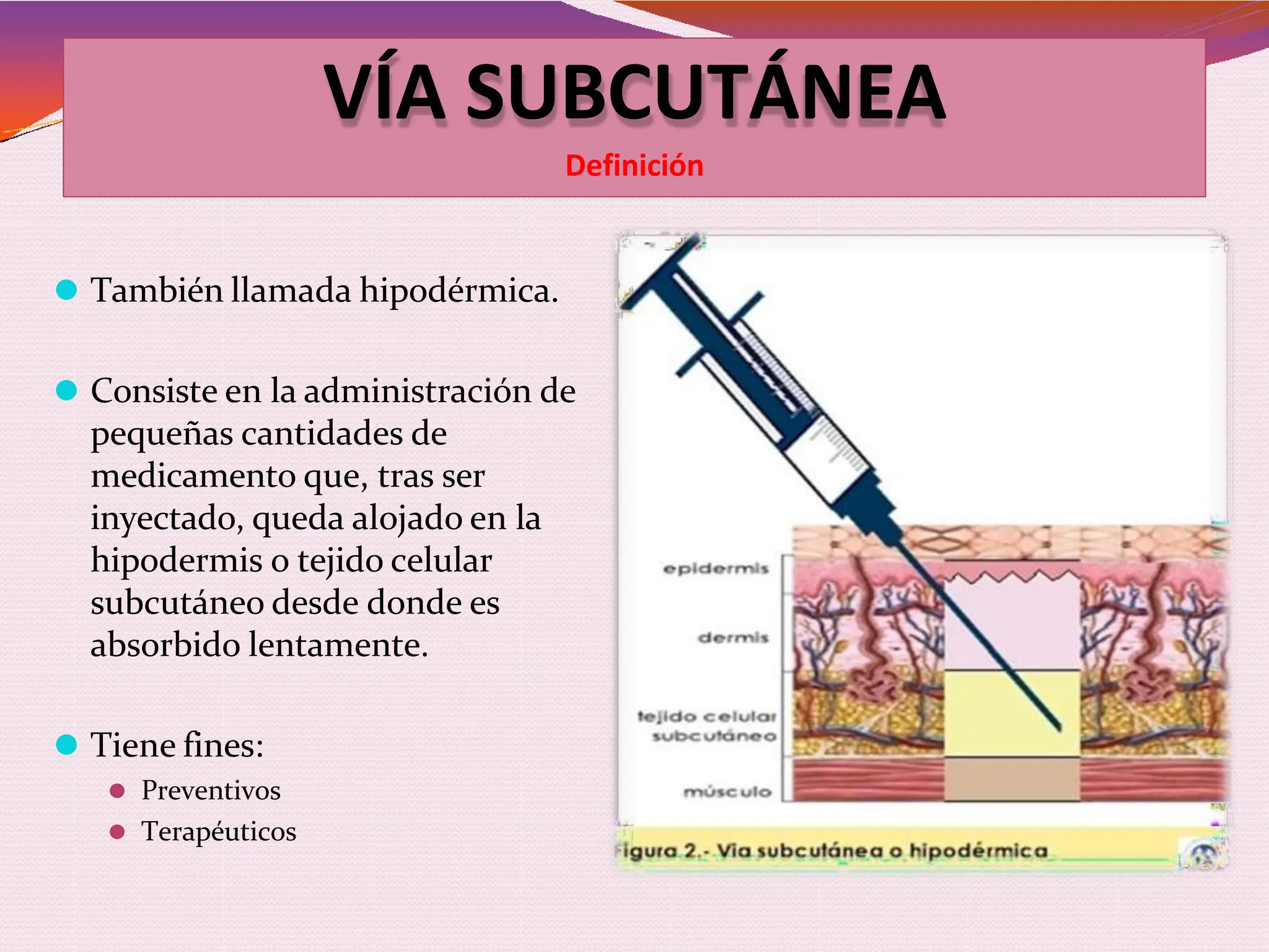 VIA SUBCUTANEA INMUNIZACIONES Huayllani Marleny | PPTX