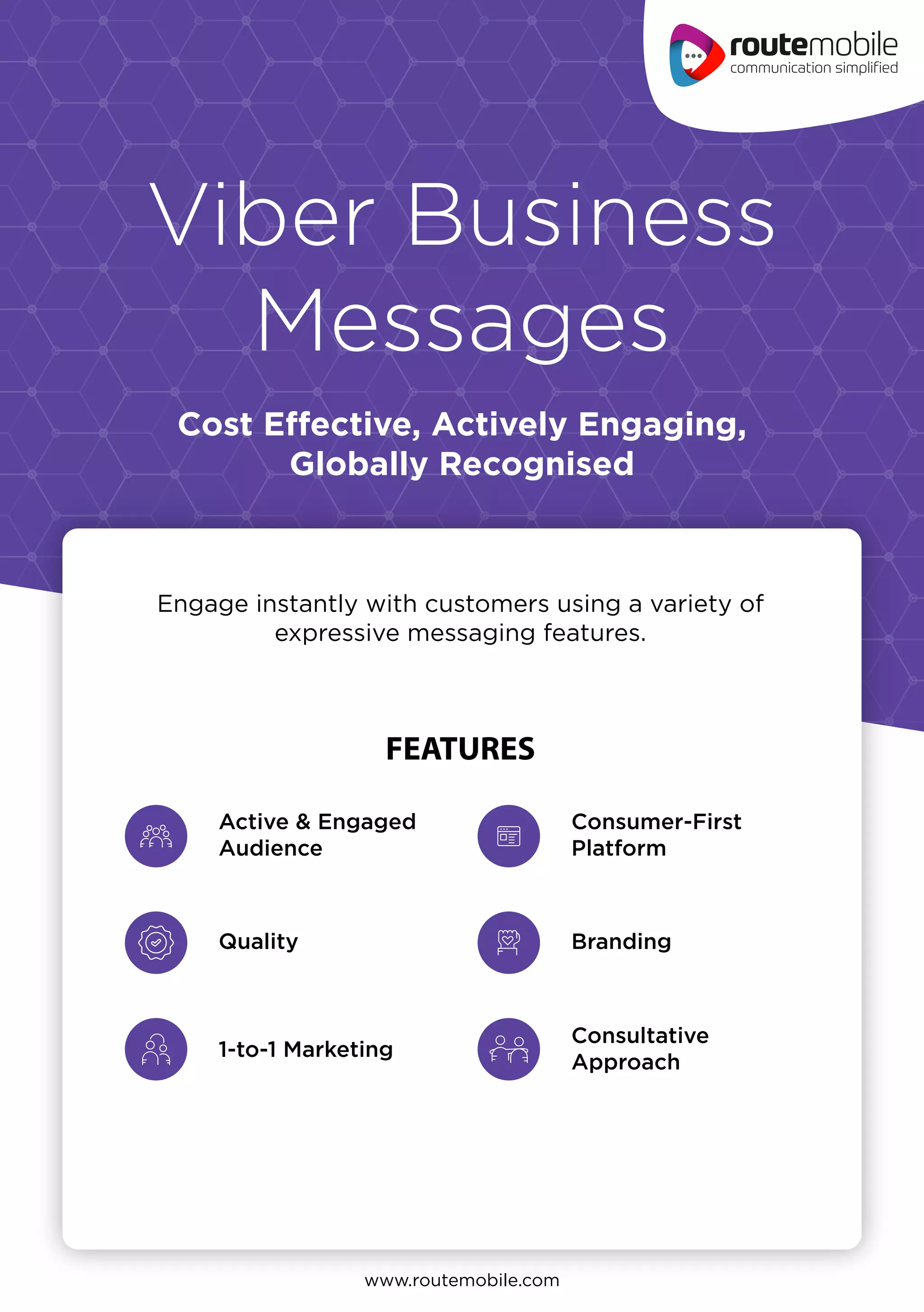 Viber product-brochure | PDF