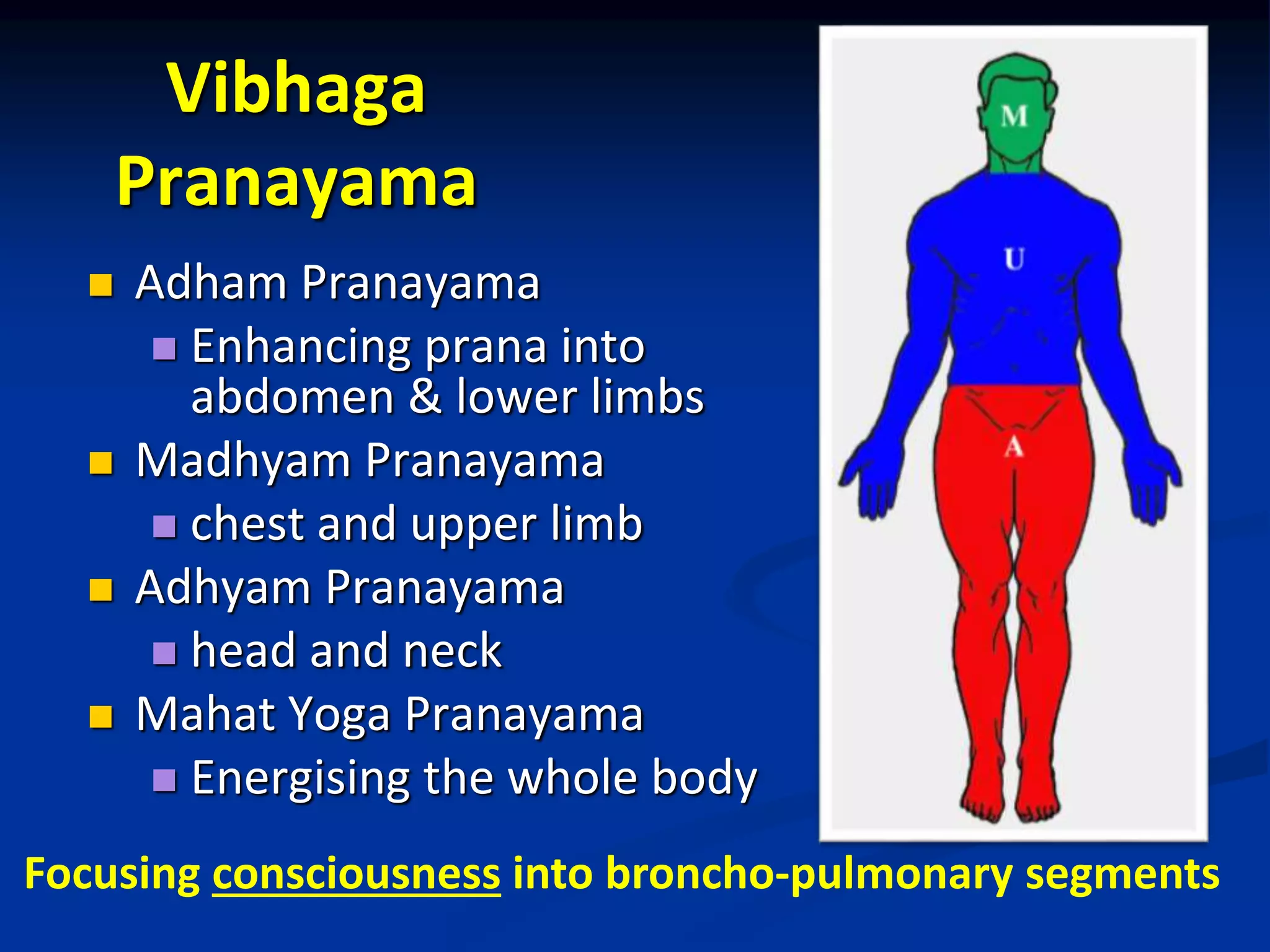 Vibhaga and pranava pranayama of Gitananda Rishictulure Yoga by Dr ...