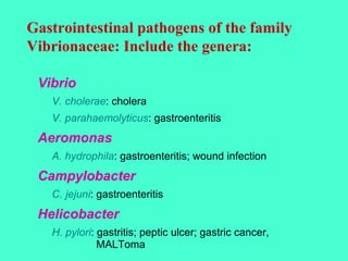 Vibionaceae | PPT