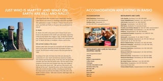 Vibrant Raisio | PDF