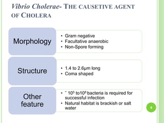 Vibrio cholerae and Cholera | PPTX