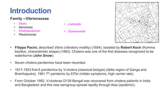 Vibrio | PPTX