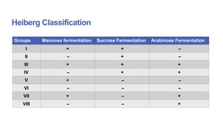 Vibrio | PPTX
