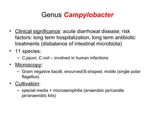 Vibrio campylobacter helicobacter_pseudomonas | PPT