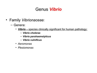 Vibrio campylobacter helicobacter_pseudomonas | PPT