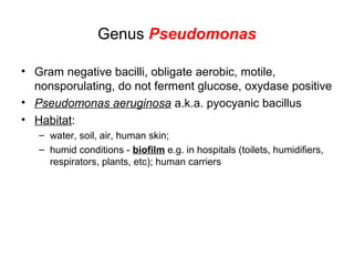 Vibrio campylobacter helicobacter_pseudomonas | PPT