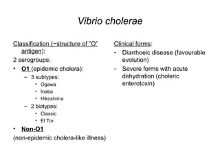 Vibrio campylobacter helicobacter_pseudomonas | PPT