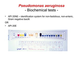 Vibrio campylobacter helicobacter_pseudomonas | PPT