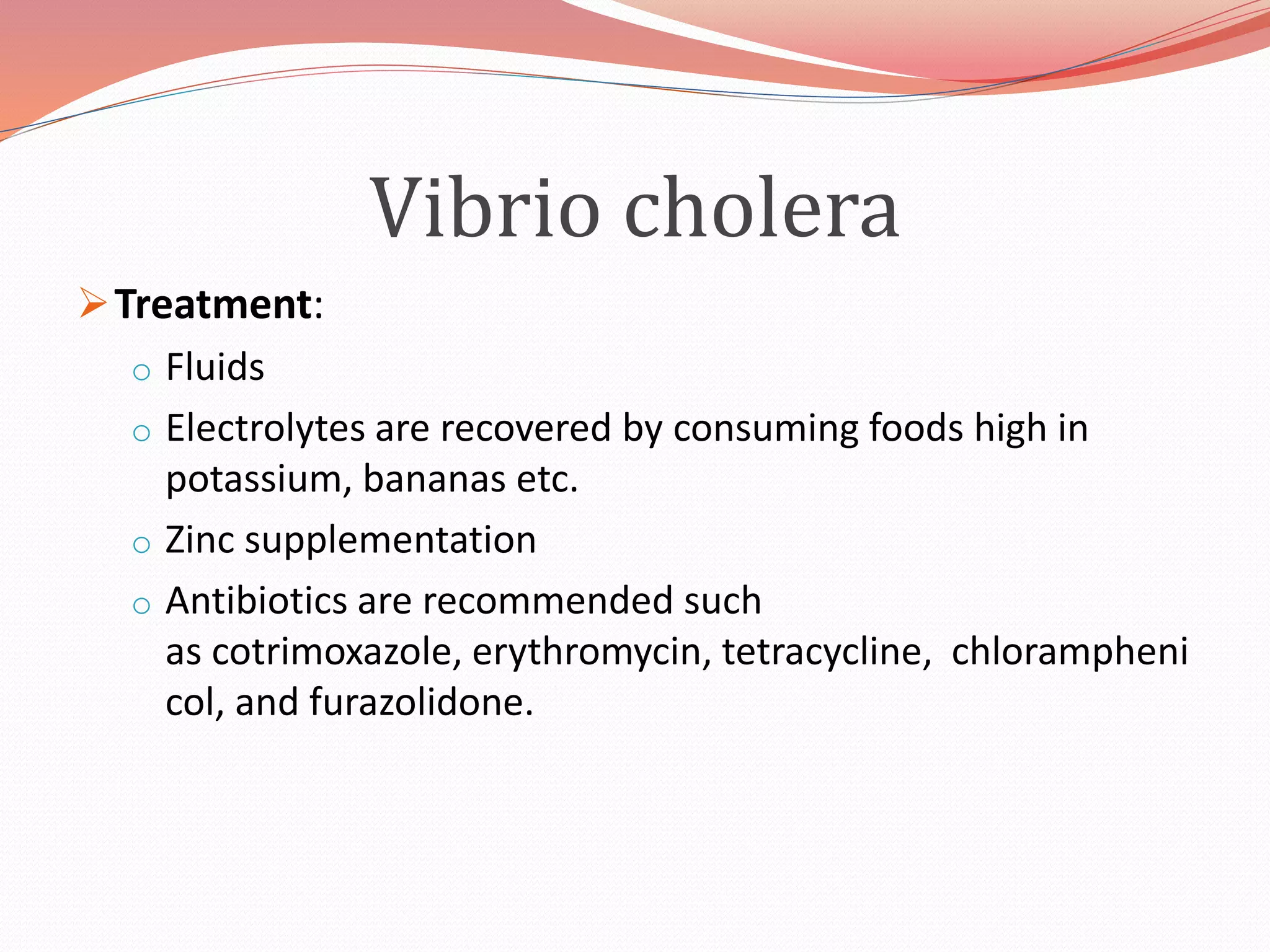 Vibrio cholera | PPTX