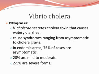 Vibrio cholera | PPTX