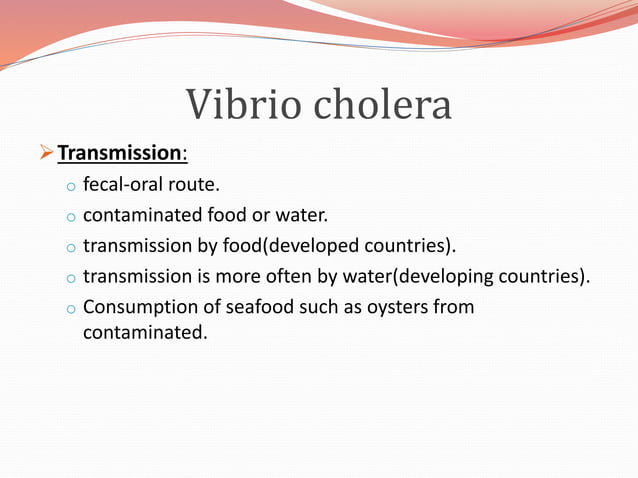 Vibrio cholera | PPT