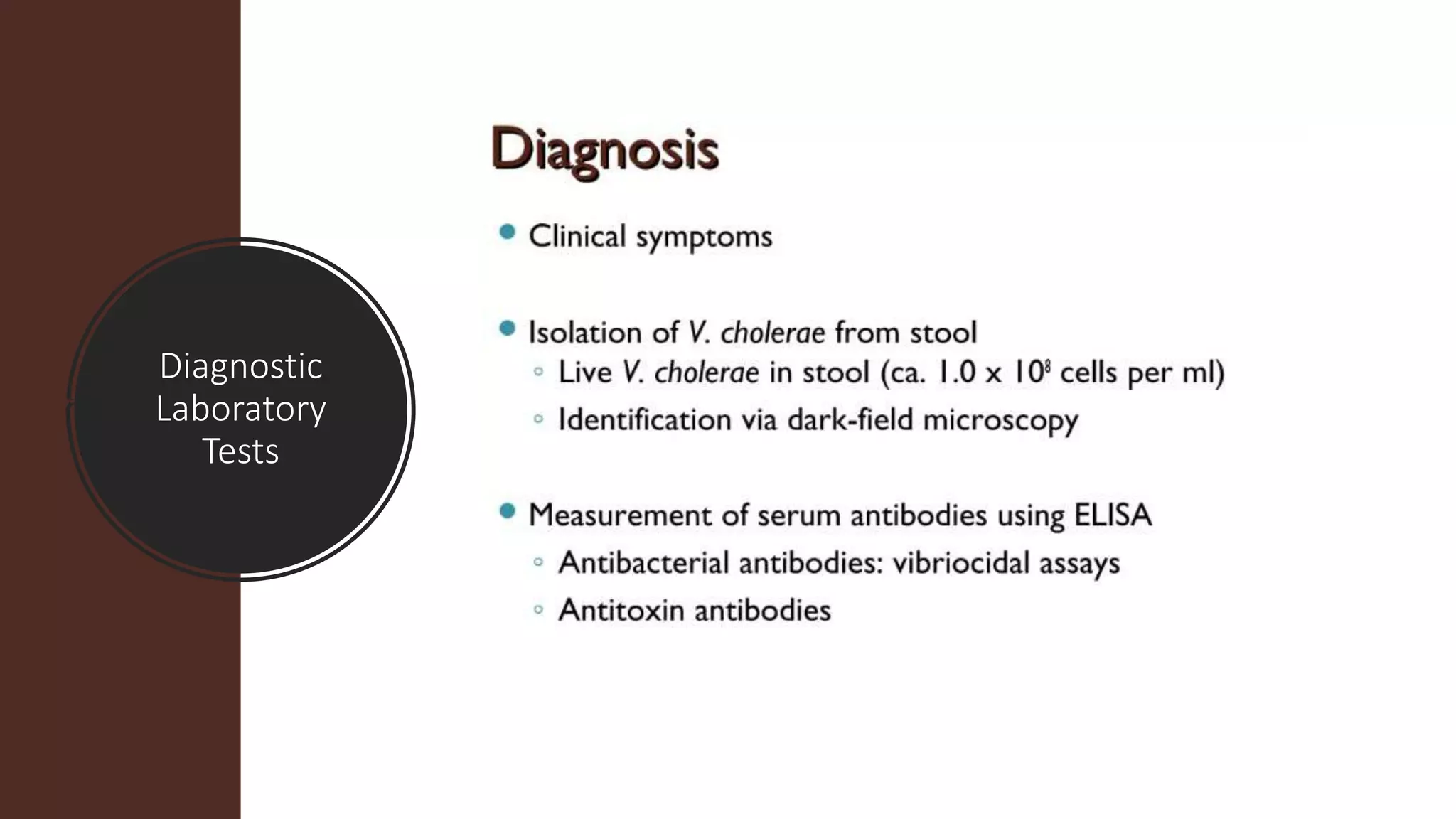 Vibrio cholera.pptx