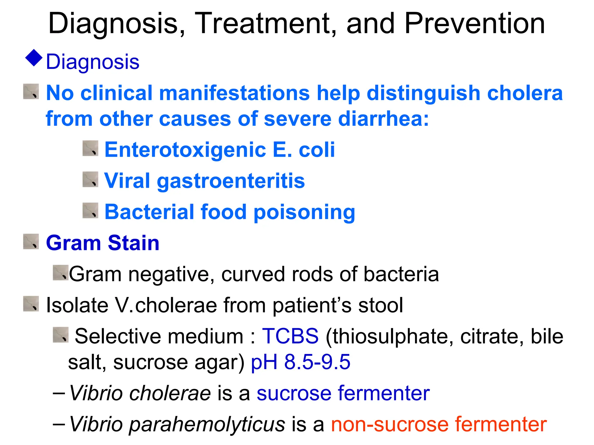 Vibrio cholera bacteriology advanced.ppt